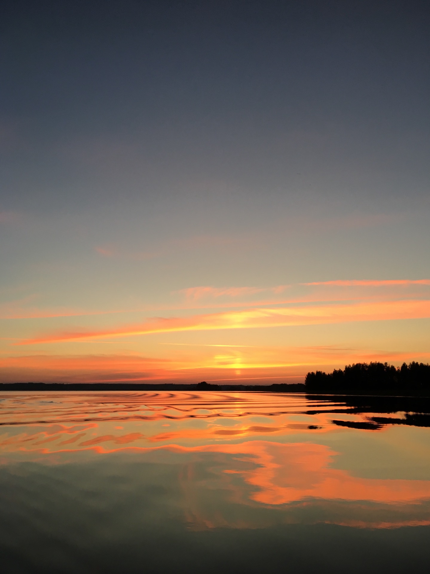 Ota yhteyttä :: Tuuli Anikari